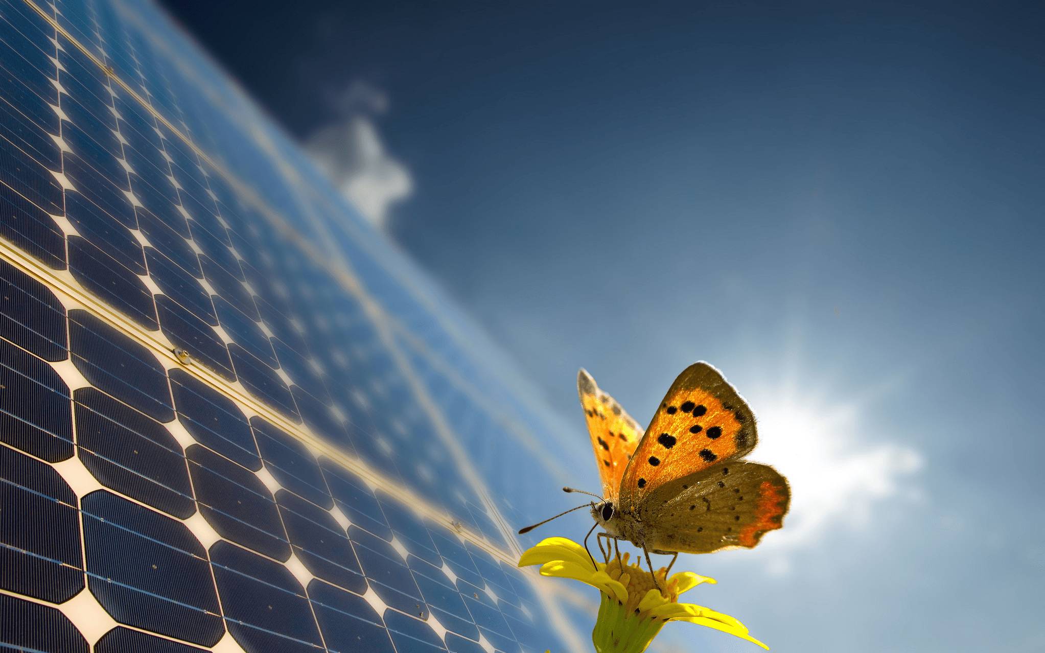 Find out more about Sunracks photovoltaic mounting solar panels